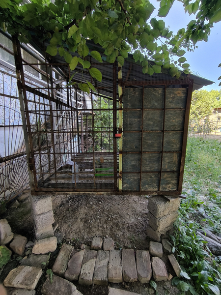 Qafas kotta 2.1x1.6