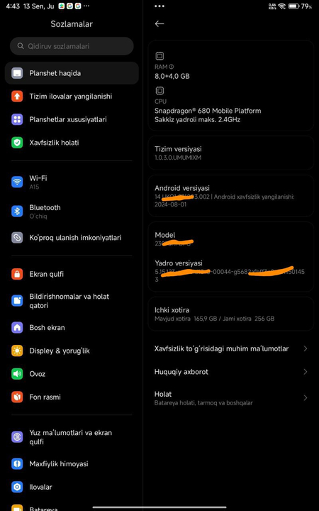 Remdi Pad SE 256 GB