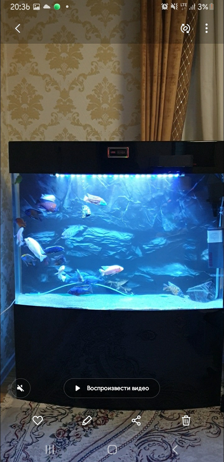Akvarium Xitoy Akril 300 litrdan ko'p baliqlarsiz