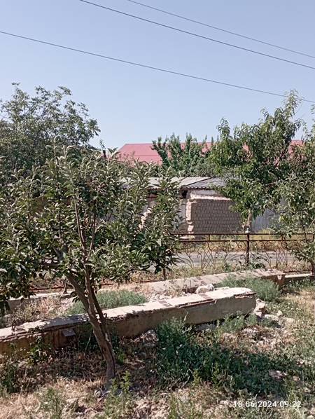 Biton stalba 2 ta