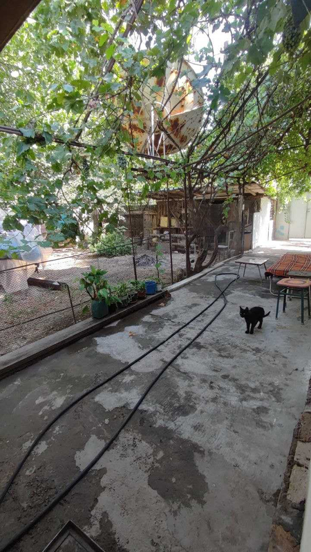 Сдам коттедж пригород Ташкента Салар Гэс