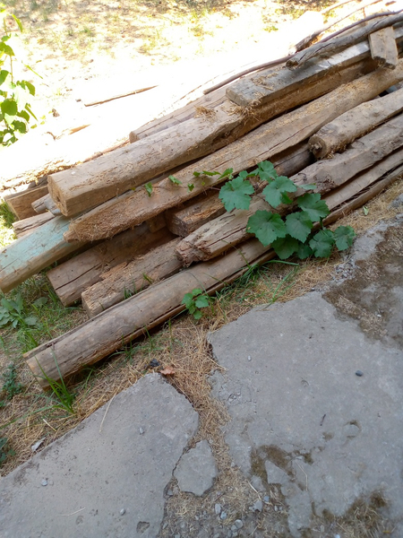 Tysin kurilishga,4metrli narxi kelishiladi coni6ta yzactkaga ishlatila