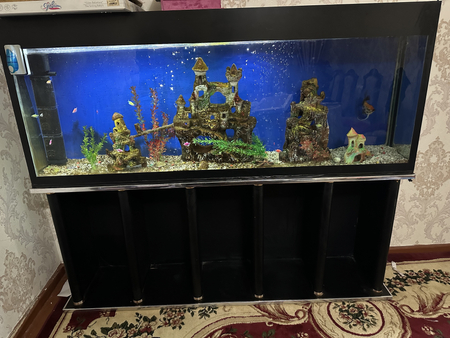Akvarium 400-450 litr tumbali xamma narsasi bilan !!!