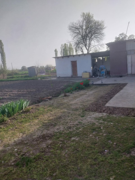 Уй сотилади Тошкент вилоятида