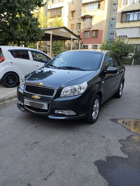 Nexia3 xolati alo