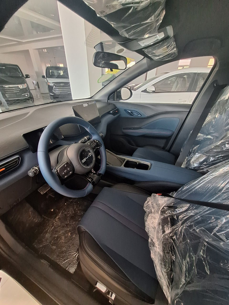 BYD seagul 2024 yil