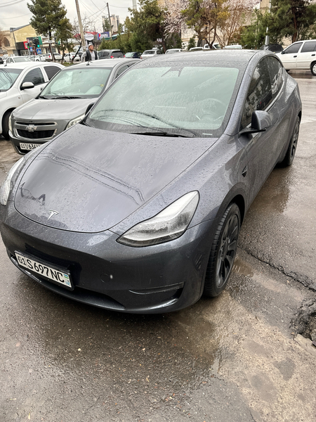 Srochno  Tesla Model Y  Standart