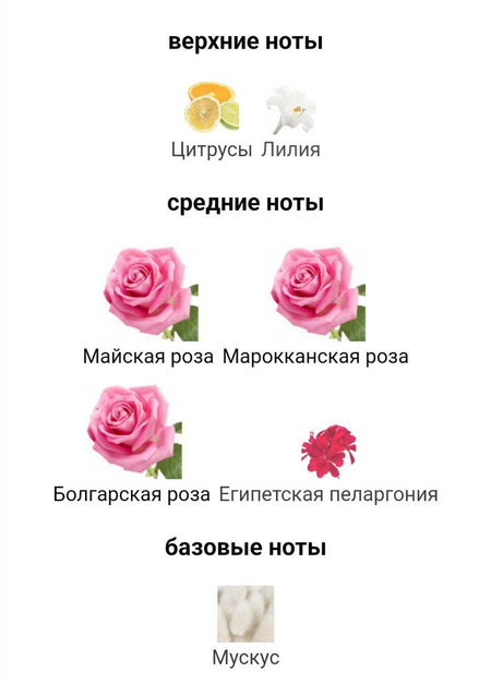 Dolce & Cabbana  velvet Rose  50ml