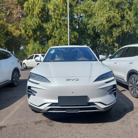 Byd chempion  2025