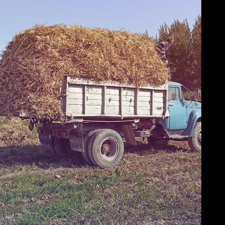 Zil Mmz 554 samasval