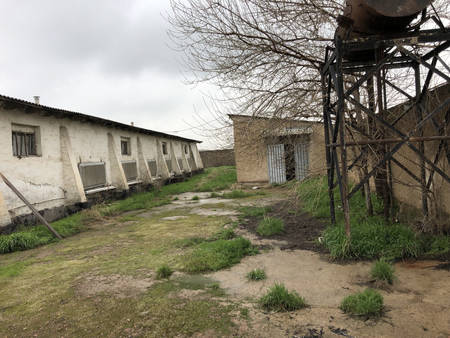 Продается ферма Ахангаранская область в поселке Эйвалек