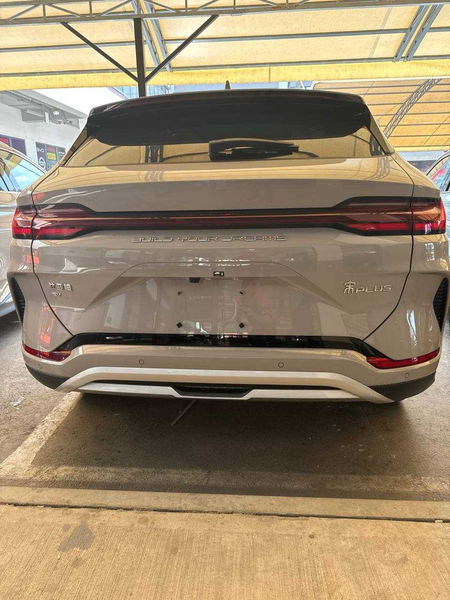 Byd champion 605 narda grey