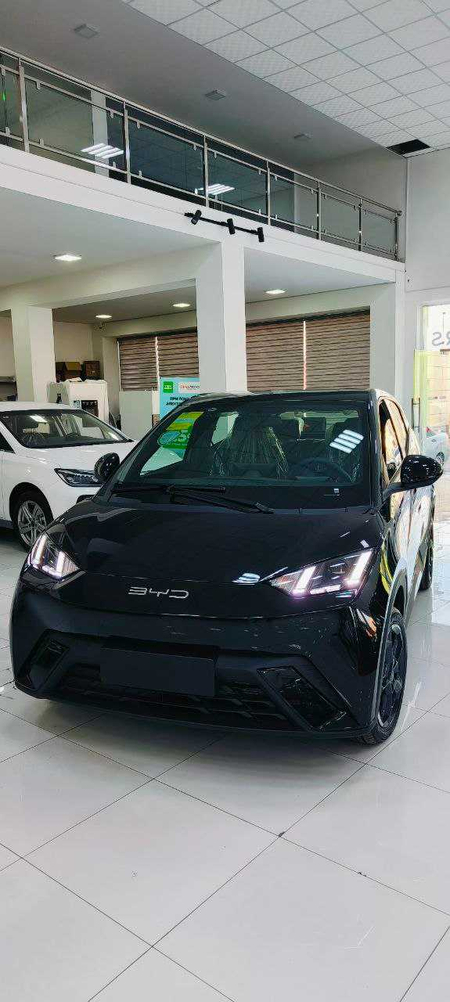 Byd seagul sotuvda tayyor garantiyalik