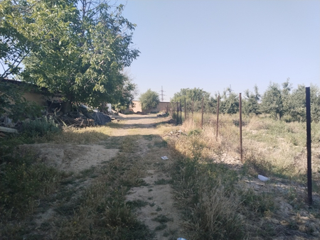 Avlyo ota masjit 2.5 sotix