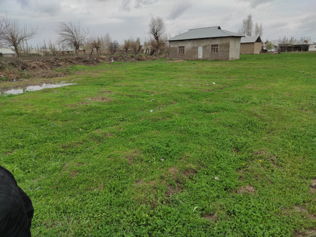 Hovli 15 sotki srochno