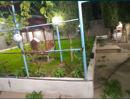 Dacha. Oila bikan