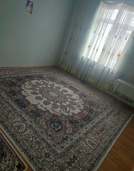Продам участок 4 соток 4 комнаты на Бектемирском районе коттедж