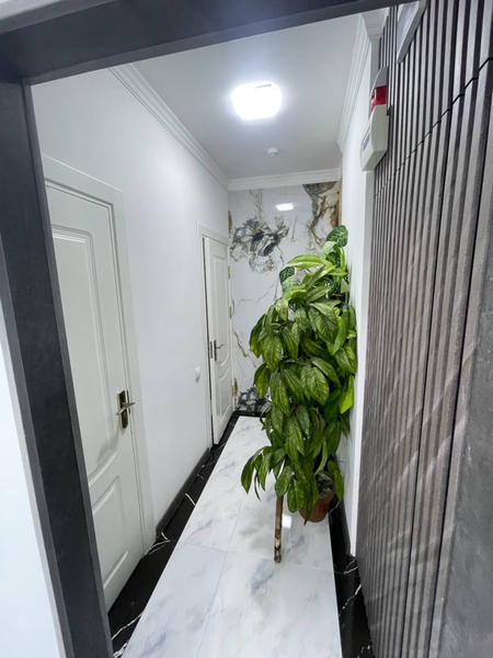 Аренда ПодОфис Октепа 36м2 2-Комнатная  650$