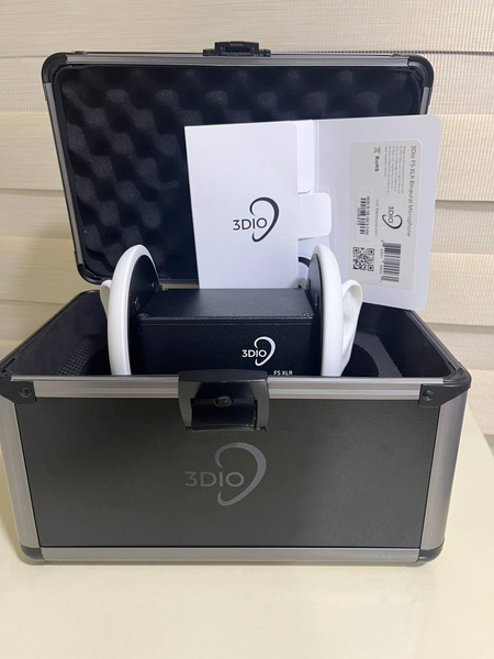 3dio free space binaural