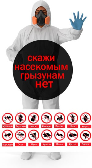 DIZINFEKSIYA xizmati sifatli va toza bajariladi 100%