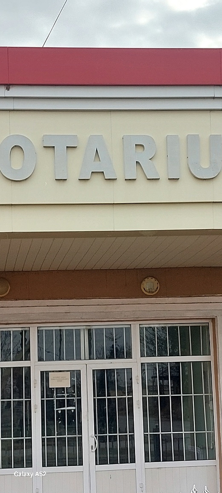 NOTARIUS harflari