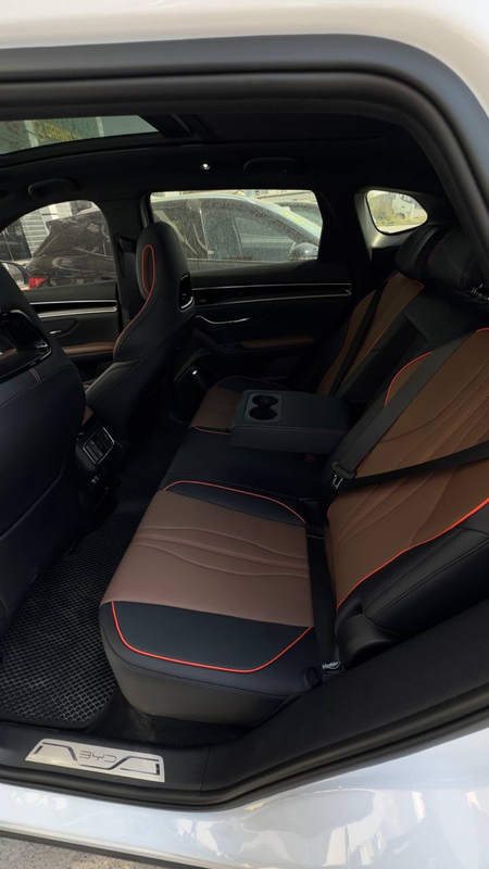 byd chempion
