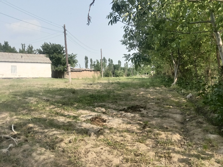 Тайор йарим гектарли вли