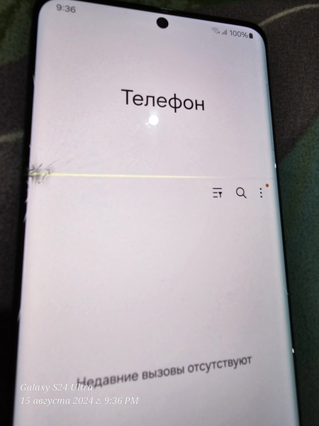 Samsung s21 ultra 12/256