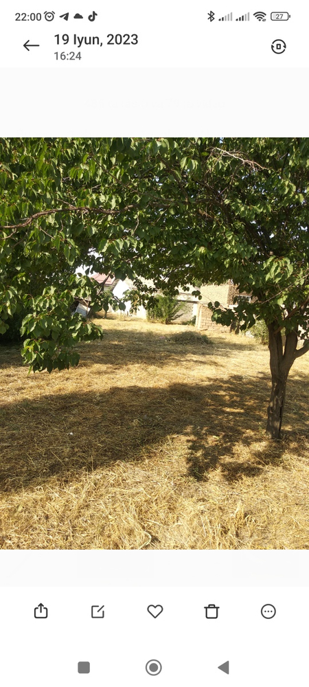 Yer sotiladi yangibozorda 10 sotka