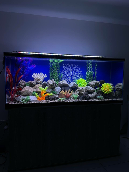 Akvarium 400litrli