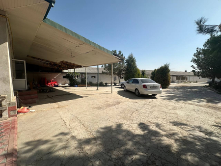 Zangiota bòzsuv. 40sotik. Tovuq ferma.