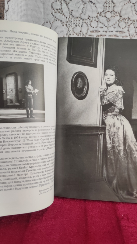 Книга Р. Шейко,Елена  Образцова ,Записки в пути.
