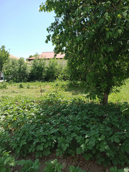 Продаётся земельный участок 5 соток цена договорная