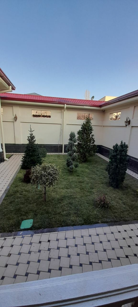 Gazon landshaft dizayn archa kesish xizmati