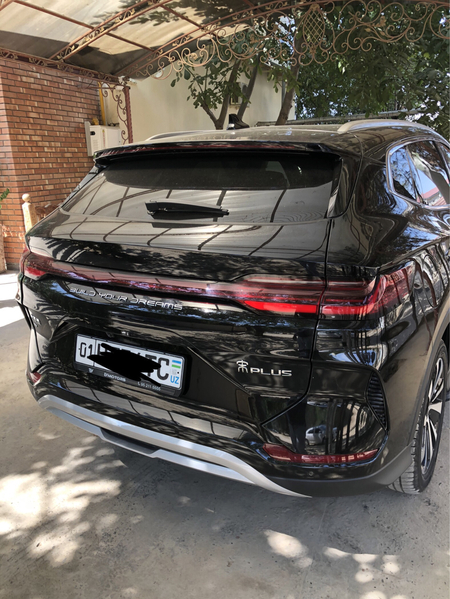 BYD ченпион хола ало 605