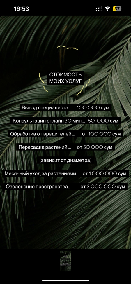 услуги флориста флорист хизматлари