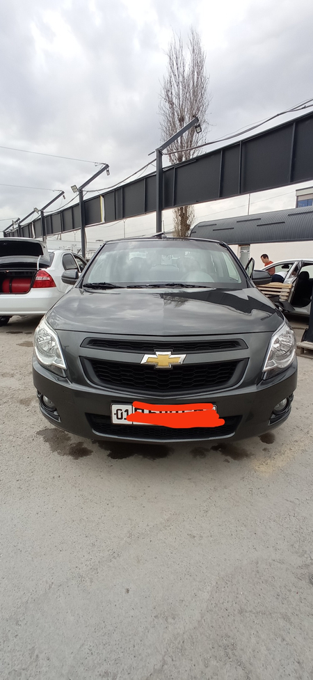 Cobalt 2019 mexanika