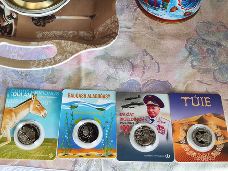 Коллекция Казахских современных монет одной ценной.
