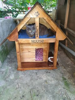 Домик для кошки в Ташкенте.