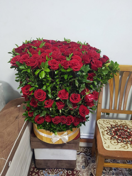 Продается светы живые
