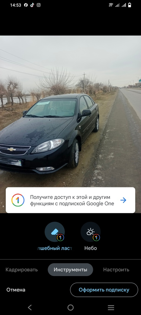 Жентира кора салафан
