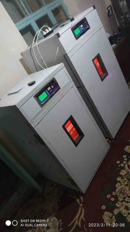 Inkubator xizmat