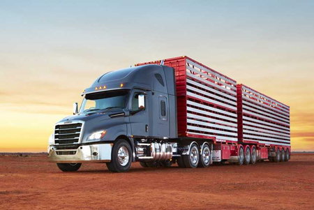 Открытие грузового бизнеса в Америке (Logistika, Trucking)