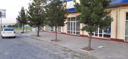 Аренда магазинов, ижарага дуконлар
