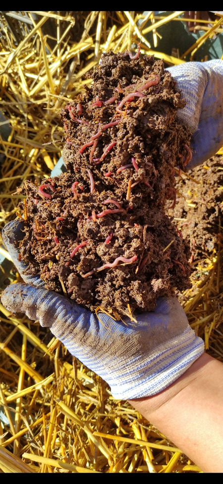 Biogumus tabbiy menirall ug'ut sotiladi