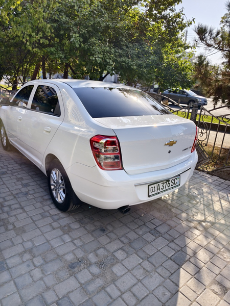 Cobalt 2024 Full malibu