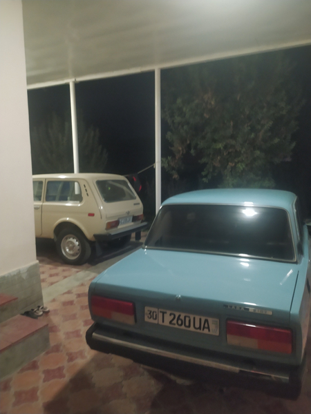 Niva holati idyal