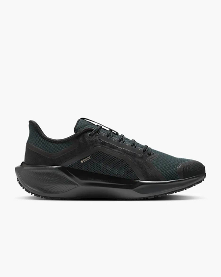NIKE Pegasus 41 gtx orginal