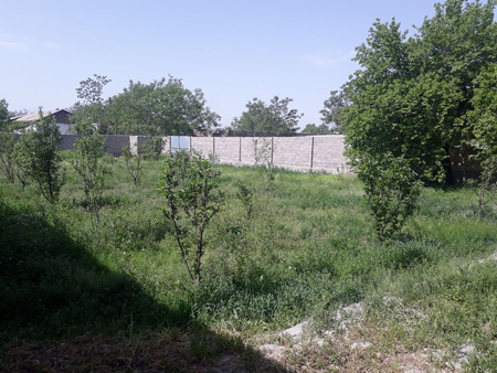 Oqdaryo tumani dahbed