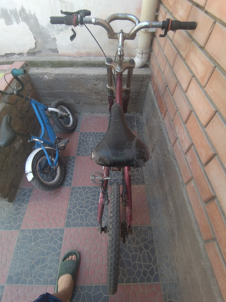 Amatizatorlari bor velik